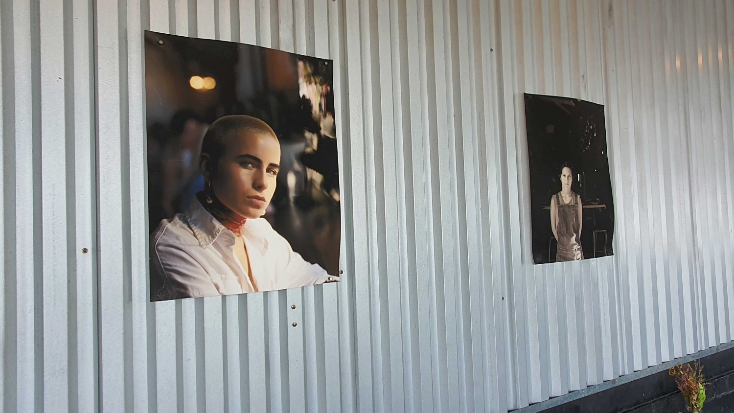 Wedge Espresso - Glebe - Cafes/Bars - Art Out in Sydney